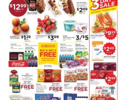 Pick N Save Weekly Ad Circular